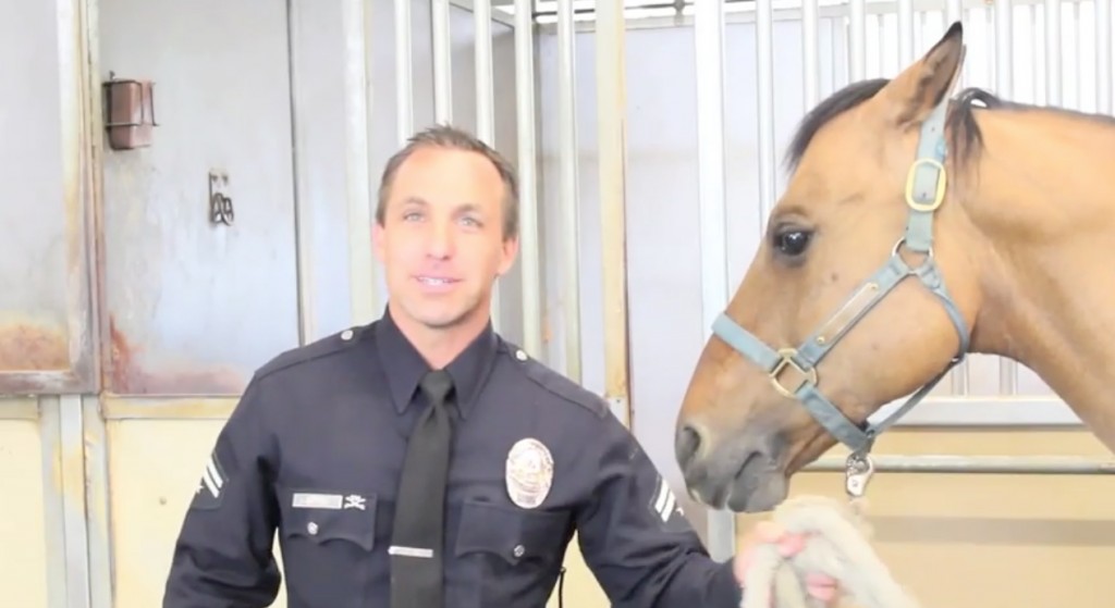 LAPD Mounted Unit Visit Westminster Elementary