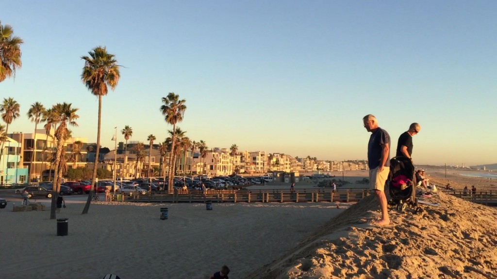 Winter Fun on Venice Beach