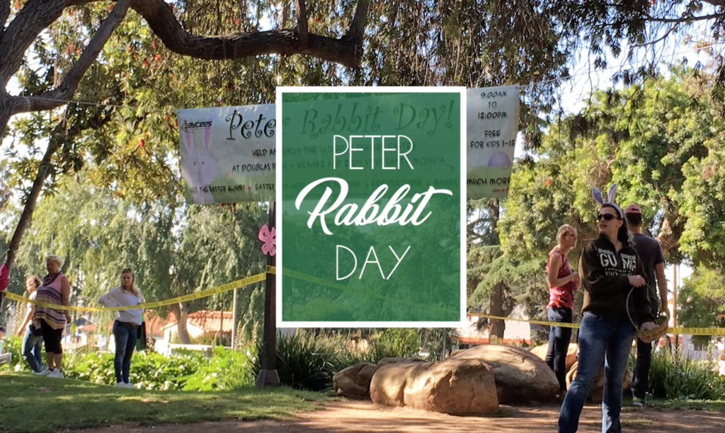25TH ANNUAL PETER RABBIT DAY @ DOUGLAS PARK - WestsideToday