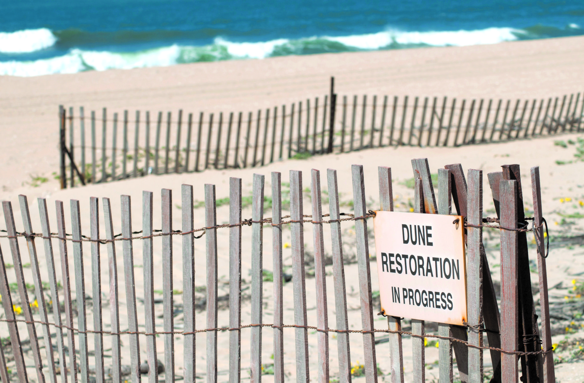 SMa.r.t.-Santa Monica’s Achilles Heel - WestsideToday