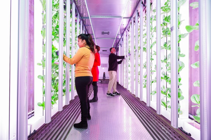 Grow Pods Solutions - A New Way to Grow Healthier Produce - WestsideToday