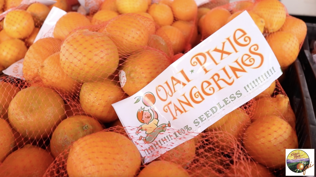 It’s Tangerine Season! - WestsideToday