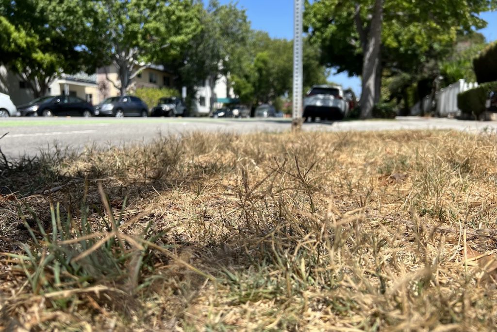 Los Angeles Announces Lowest Water Use in the Month of August on Record ...
