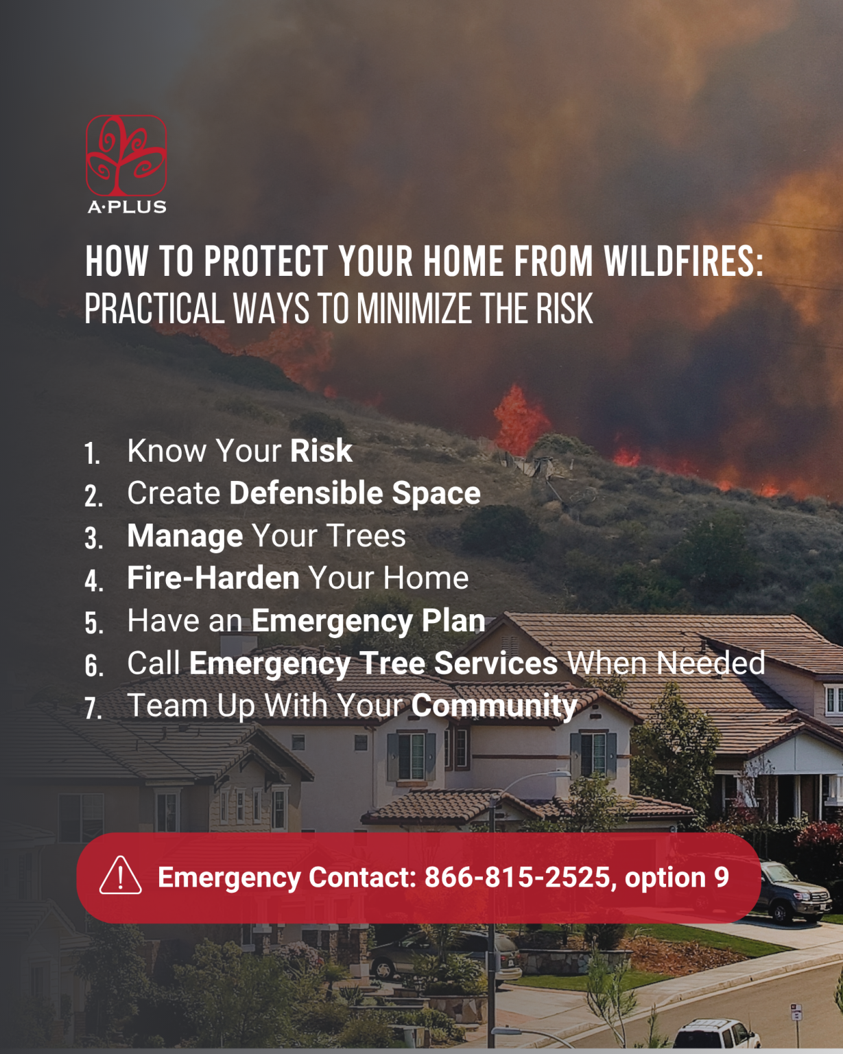 How A Plus Tree Helps Protect Your Home from Wildfire - WestsideToday